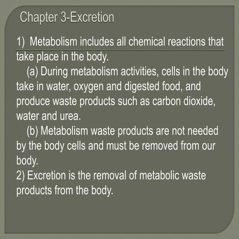 Form 3 Science -Chapter 3 excretion | PPTX