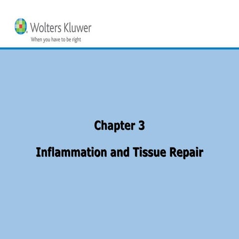 Chapter 3 - Inflammation and Tissue Repair_p.pptx