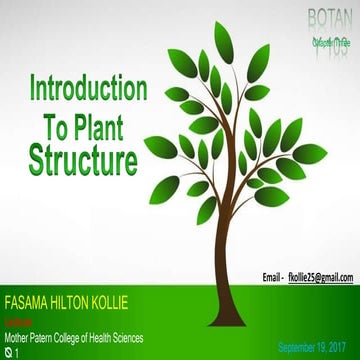 Plant Tissues for Grade 10 Life Sciences | PPTX