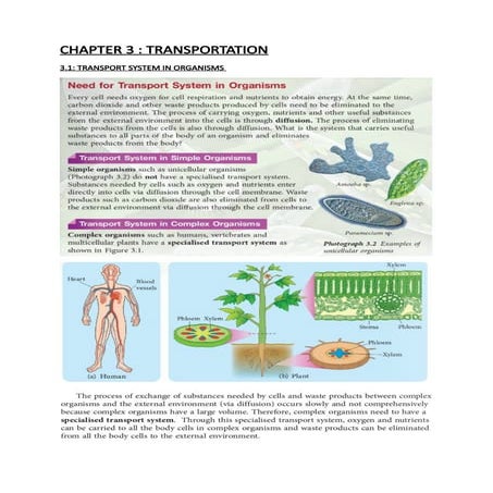 CHAPTER 3- Science f3.docx -this is a revision note that is very useful ...