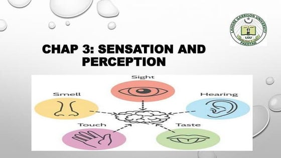 Microsoft word | PPT