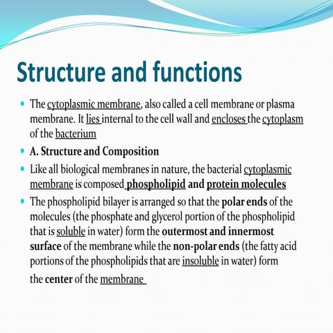 Chapter 3 structure and functions | PPT