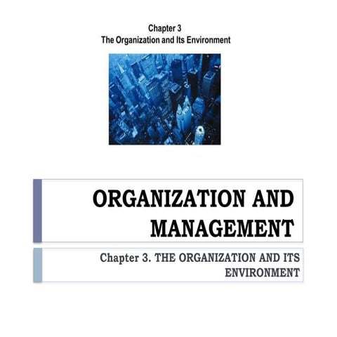 Organization and Management: Chapter 3 - The Organization and Its ...