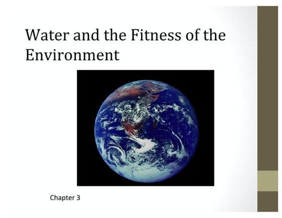 Properties of Water Presentation | PPTX