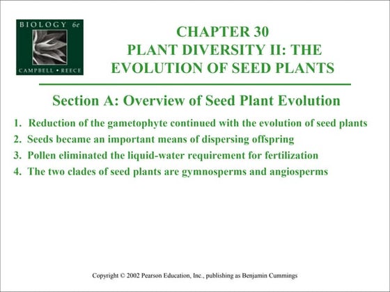 gymnosperm, Glossopteridales, Glossopteris | PPTX