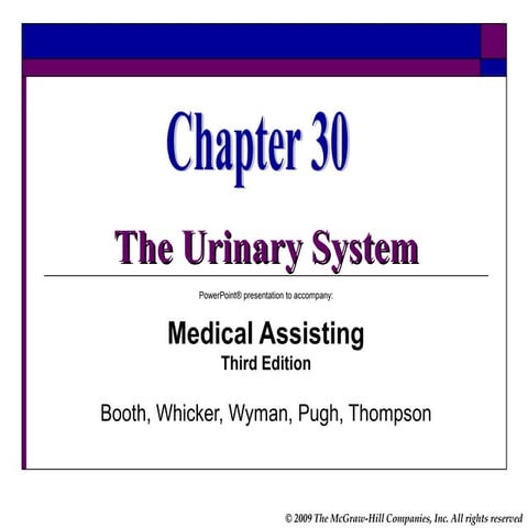 mcgraw hill Chapter 30 the_urinary_system | PPT