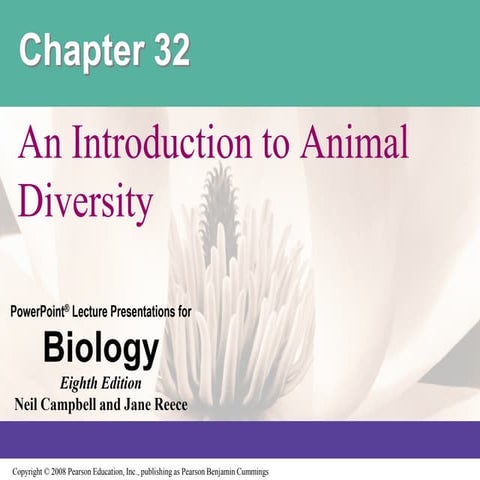 Chapter 32 An Introduction to Animal Diversity.pdf