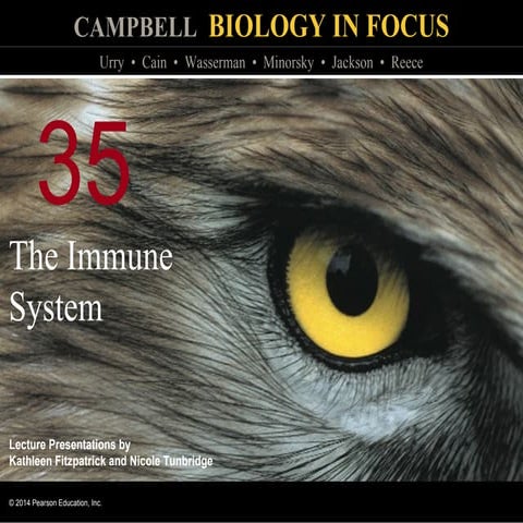 Chapter 35 - The Immune System 1.dfdfdfpdf | PDF