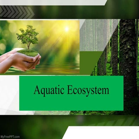 Chapter 3 Aquatic ecosystem..........ppt