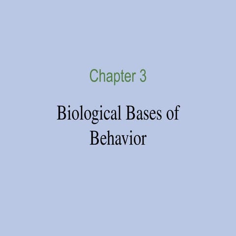 Chapter 3 Biological Bases of Behavior.ppt