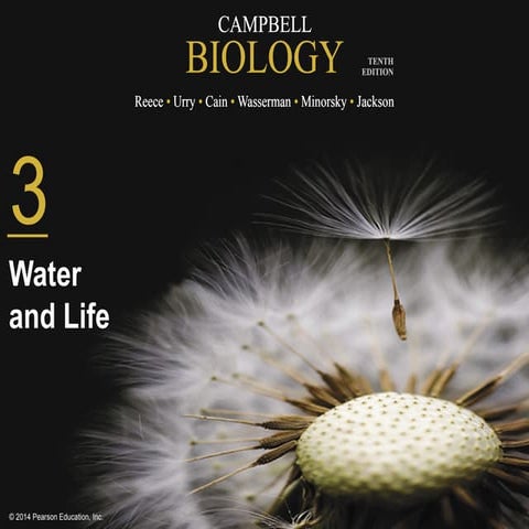 chapter 3 Campbell Biology, Water and Life.pptx