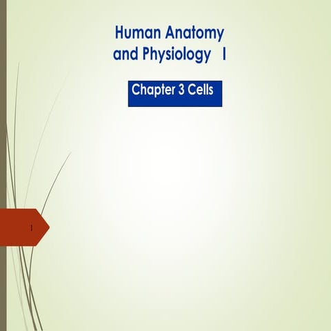 Chapter 3 cells,Human Anatomy and physiology I.ppt