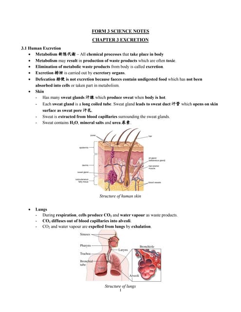 Excretion (biology) class 10th | PPTX