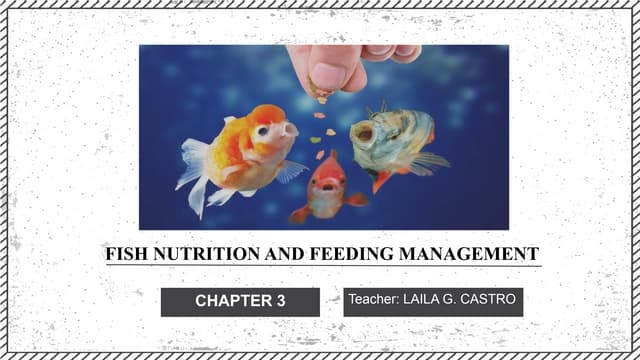 Feed formulation | PPTX