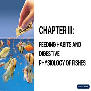 Chapter 3_Feeding Habits and Digestive Physiology of Fishes.pdf