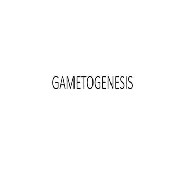 Mmbbs Chamber 3 gametogenisis 1st year document | PPT