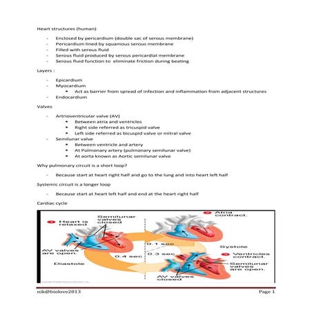 Chapter 3 heart ed. | PDF