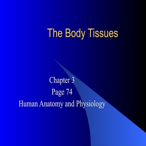 Chapter 3 Human Anatomy Tissues | PPT