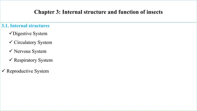 Chapter 4 INTERNAL STRUCTURE AND FUNCTION OF INSECT’S BODY (INSECT ...