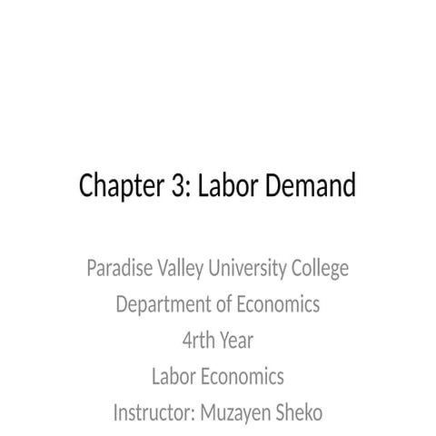 Chapter_3_Labor_Demand lecture Expanded .pptx