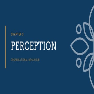 Chapter 3 PERCEPTION (1).pptx