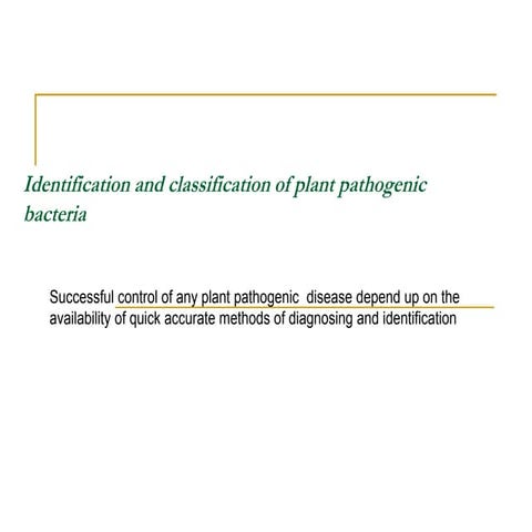 Chapter_ 3 Plant pathogenic Bacteria _identification and classification ...
