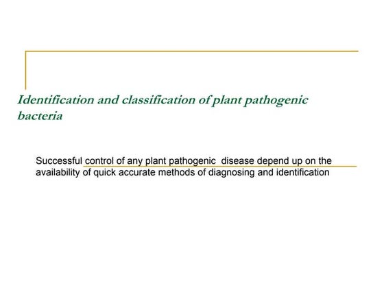 SAPS - Plant pathogens - Identification - presentation (1).pptx