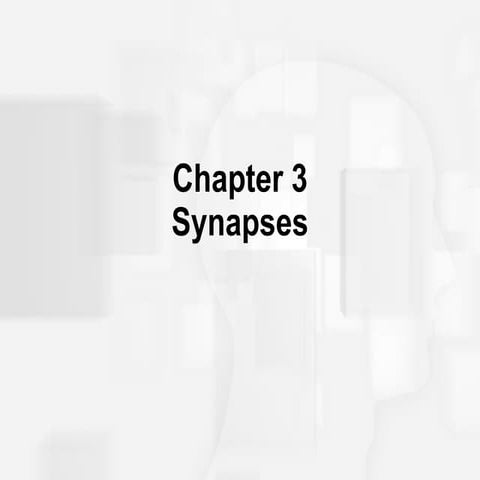 Chapter3 Power Point Lecture | PPT
