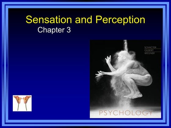 Perception- Psychology | PPTX | Paranormal Phenomena | Hobbies & Interests