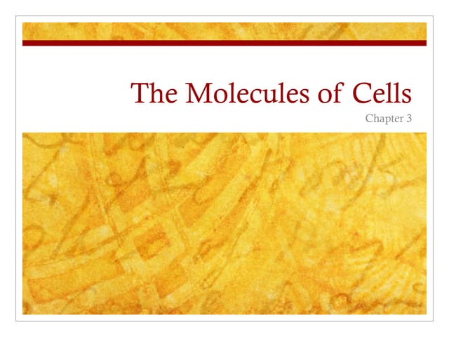 Chapter 3 Ppt Ppt