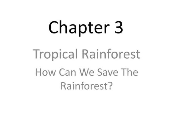 The tropical rainforest | PPTX | Geography | Science