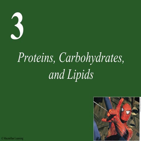 Chapter 3_ Proteins, Carbohydrates, and Lipids.pdf