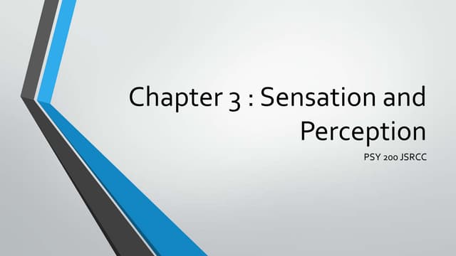Sensation And Perception Psychology Pptx