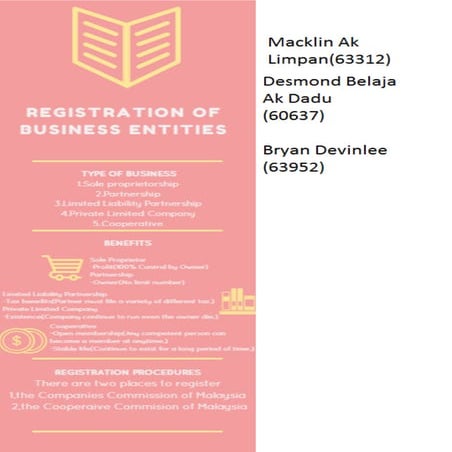 Chapter 3 registration of business entities | PDF