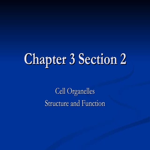 Cell Organelles | PPT