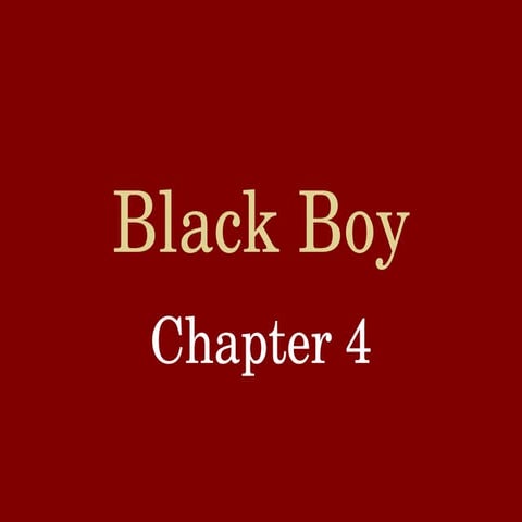 Black Boy Chapter 4 | PPT
