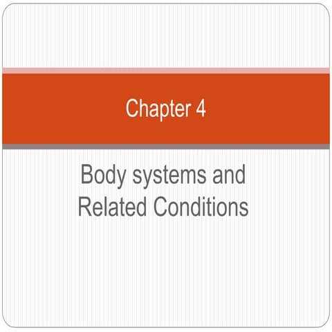 Chapter 4 - Basics | PPT