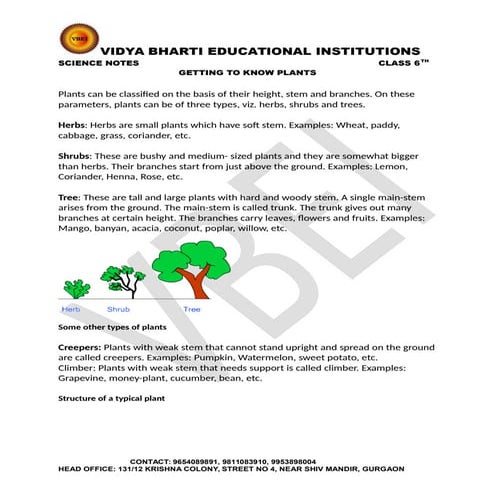 Chapter 4- Getting To know Plants | PDF
