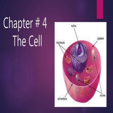 Cell biology ( 1st year chapter 4) | PPTX