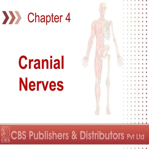 Chapter 4.ppt