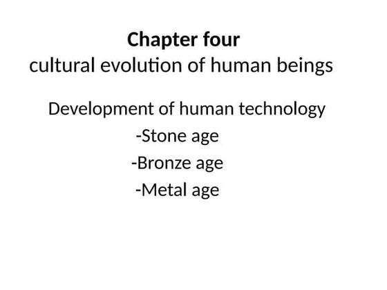 THE STONE AGE | PPT