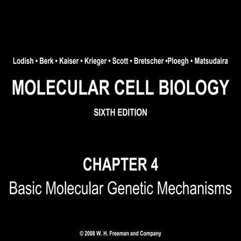 Molecular Cell Biology Lodish 6th.ppt - Chapter 4 basic molecular ...