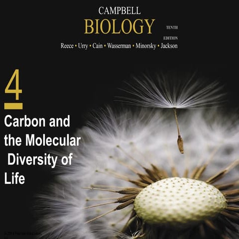 chapter 4 Carbon and the Molecular Diversity of Life.pptx