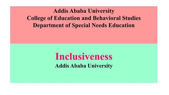 Chapter 1.pptx Inclusiveness Addis Ababa | PPT