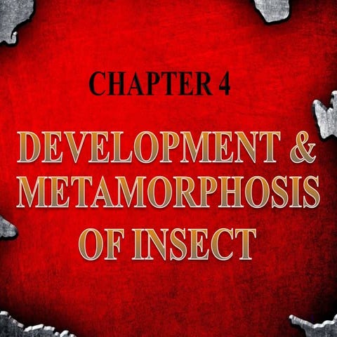 METAMORPHOSIS (1).ppt..................... | PPT