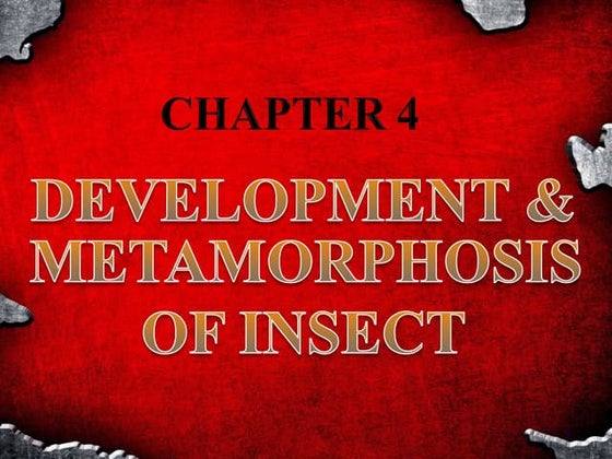 Metamorphosis in Insects, Types and stages | PPT