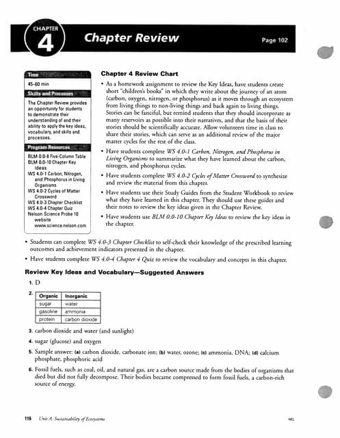 Chapter3 review-answers | PDF