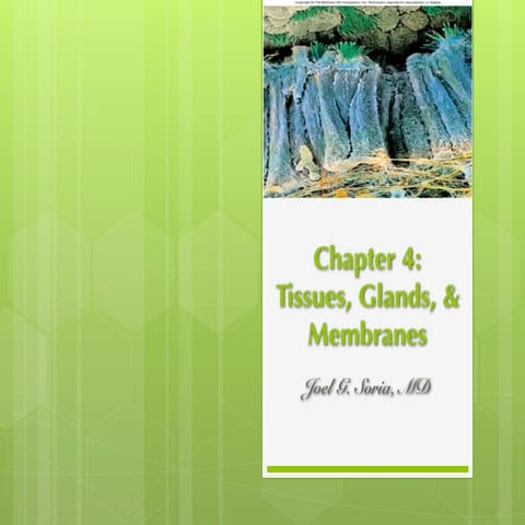 HAP-CONNECTIVE TISSUE-MEENALOSHINI.pptx