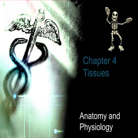 Chapter 4,5,17 notes | PPT