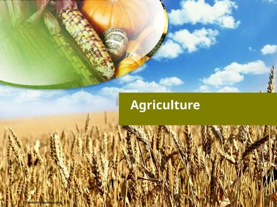 Types of crops | PPT